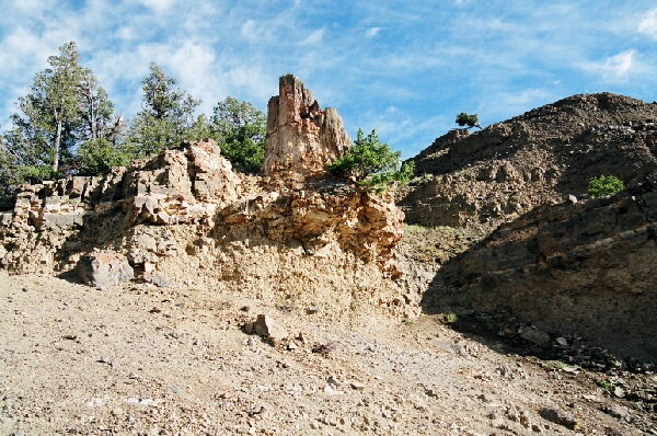 Specimen Ridge at Yellowstone National Park