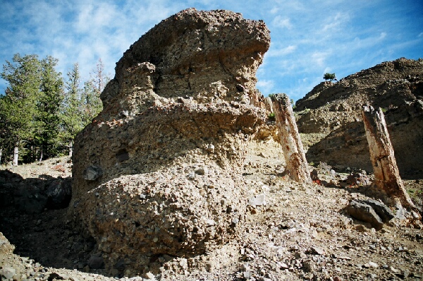 Specimen Ridge at Yellowstone National Park