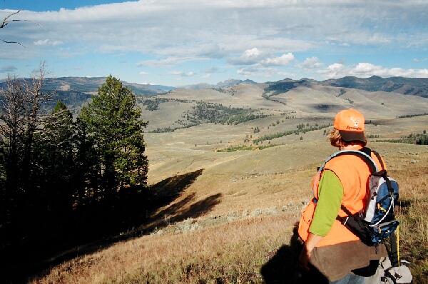 Specimen Ridge at Yellowstone National Park
