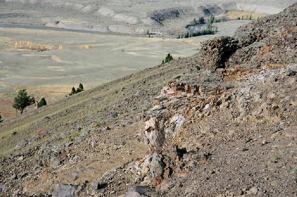 Specimen Ridge at Yellowstone National Park