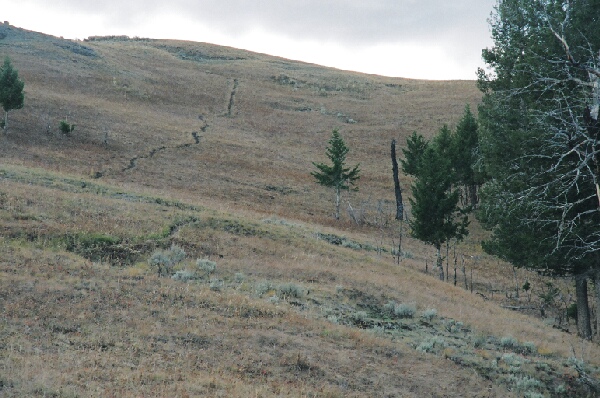 Specimen Ridge at Yellowstone National Park