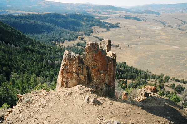 Specimen Ridge at Yellowstone National Park