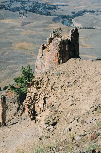 Specimen Ridge at Yellowstone National Park
