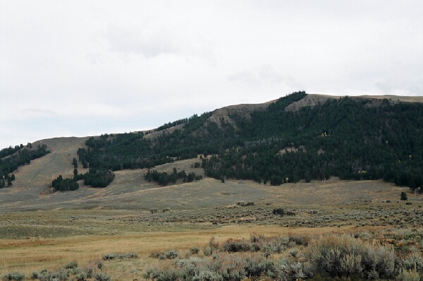 Specimen Ridge at Yellowstone National Park
