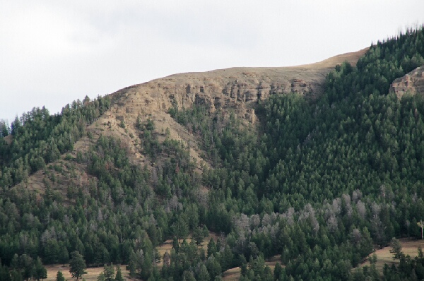 Specimen Ridge at Yellowstone National Park