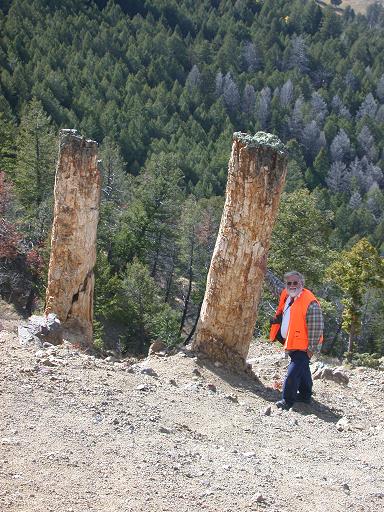 Specimen Ridge at Yellowstone National Park